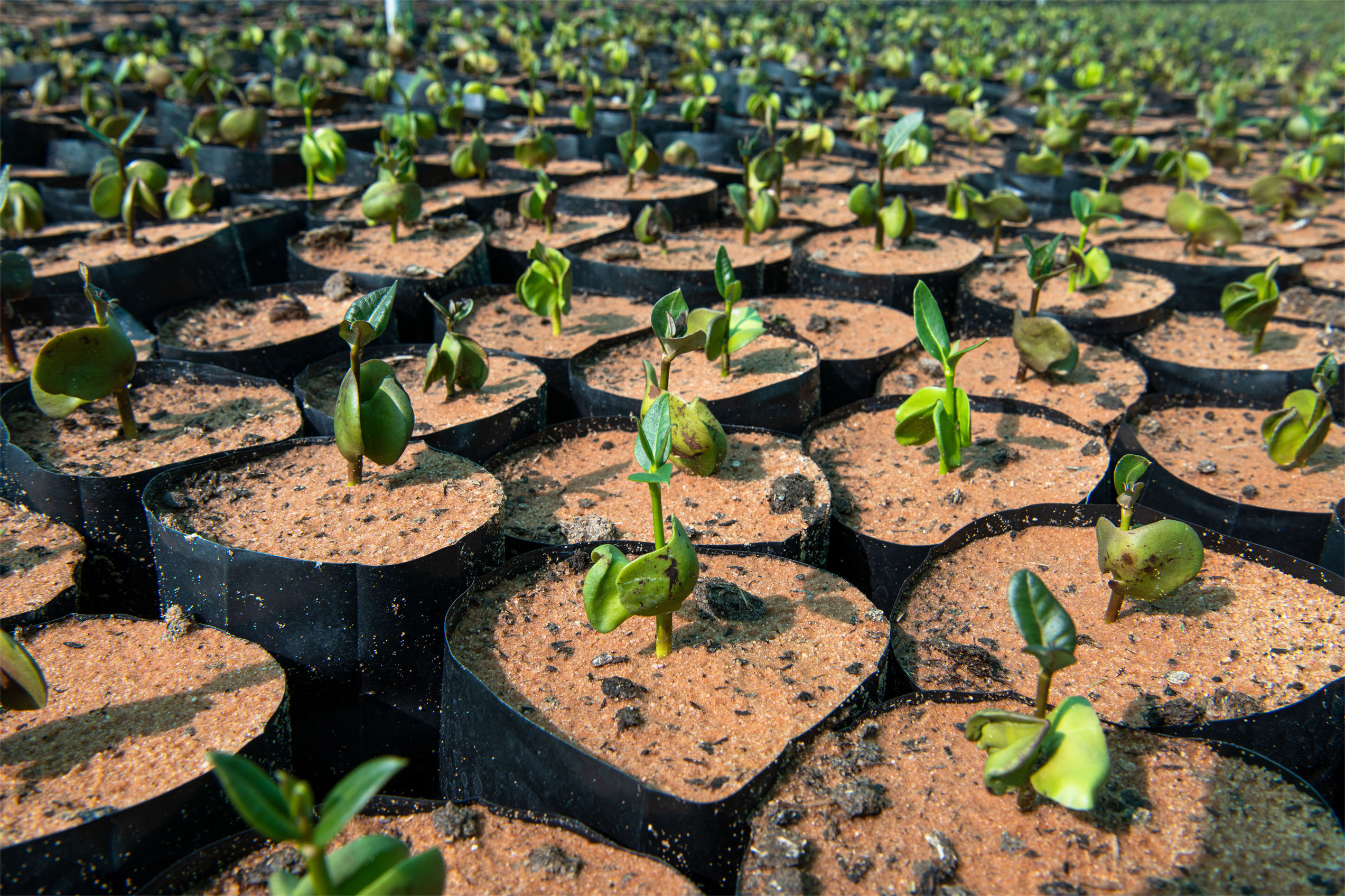 Sustainability | Aramco Singapore